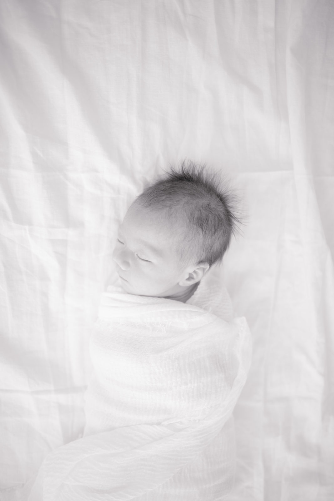 Orange County Pregnancy Newborn Studio Photographer | The Capili Family ...